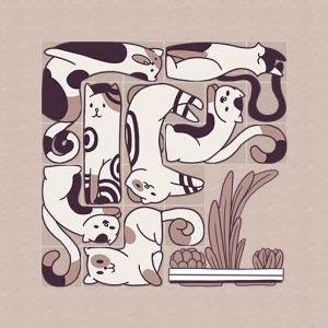 Cats Organized Neatly: 100% Completion Guide 2021 - KosGames