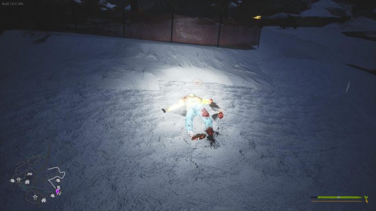 BIGFOOT: Winterland Map Guide (All Safes, Codes, Totems, Dead Bodies ...