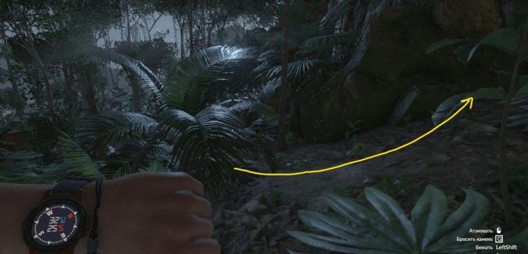 Green Hell: "Spirits of Amazonia" Walkthrough - KosGames