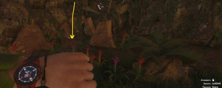 Green Hell: "Spirits of Amazonia" Walkthrough - KosGames