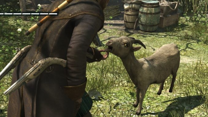 Assassin's Creed IV Black Flag: Cómo encontrar animales que se puedan ...