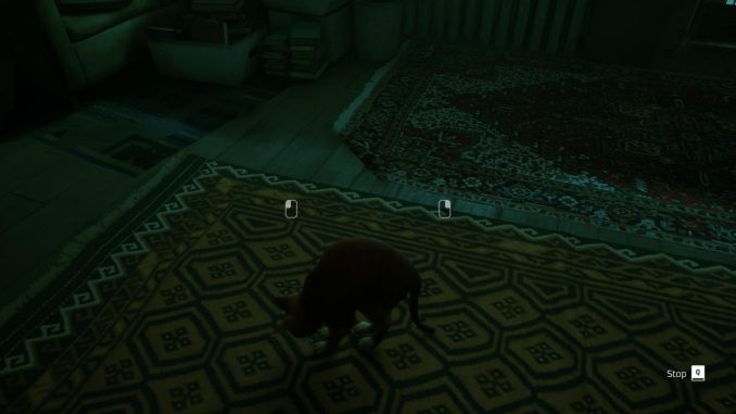Stray: All Collectibles Guide - KosGames