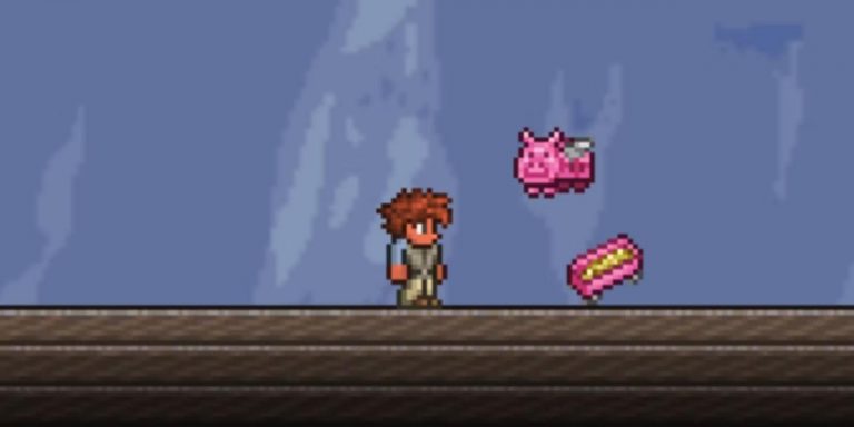 Terraria: The Rarest Items Guide - KosGames