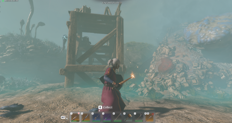 Enshrouded: Springlands Fossil Map - KosGames